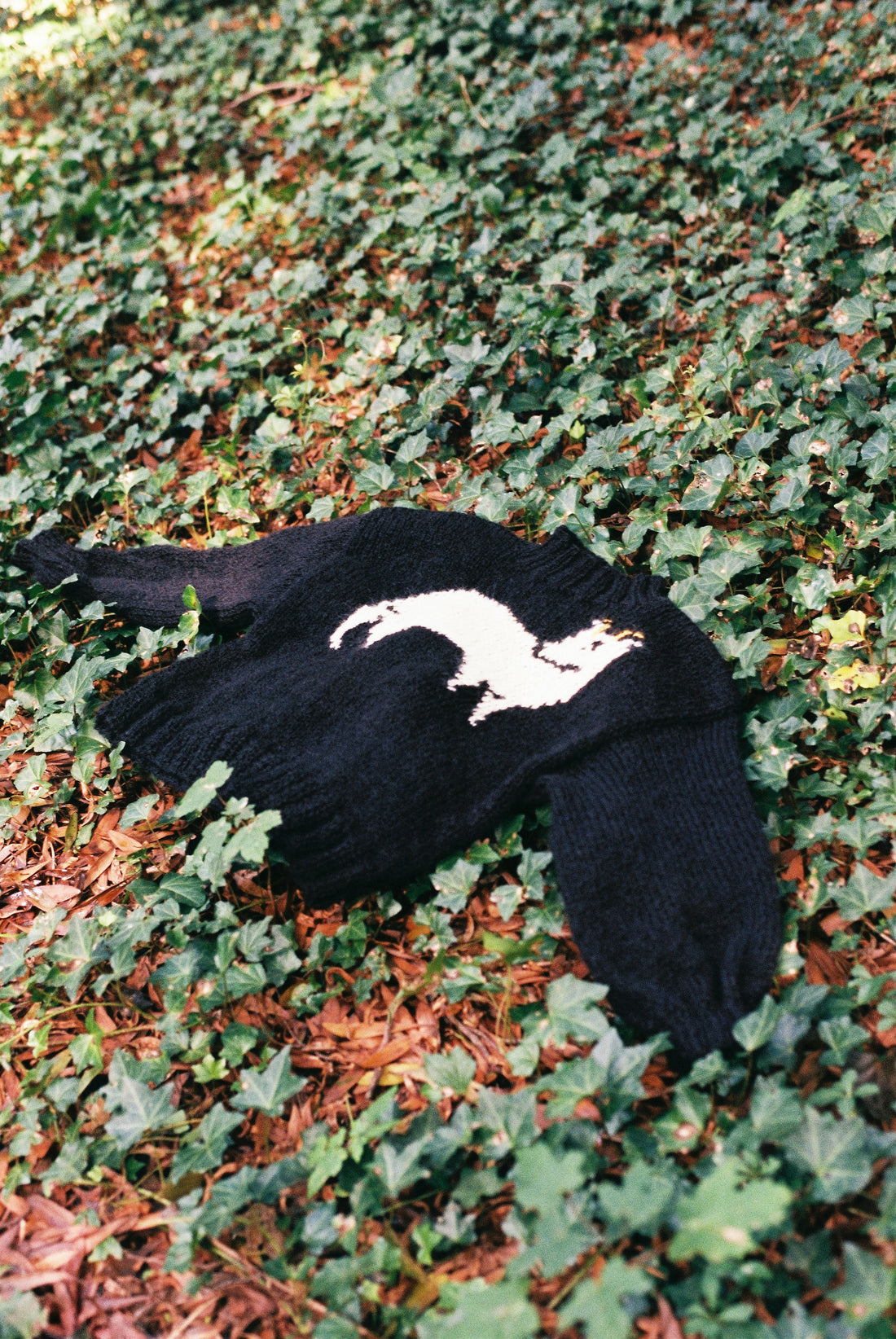 SWEATER PUDU ALBINO CORTO – Roberta